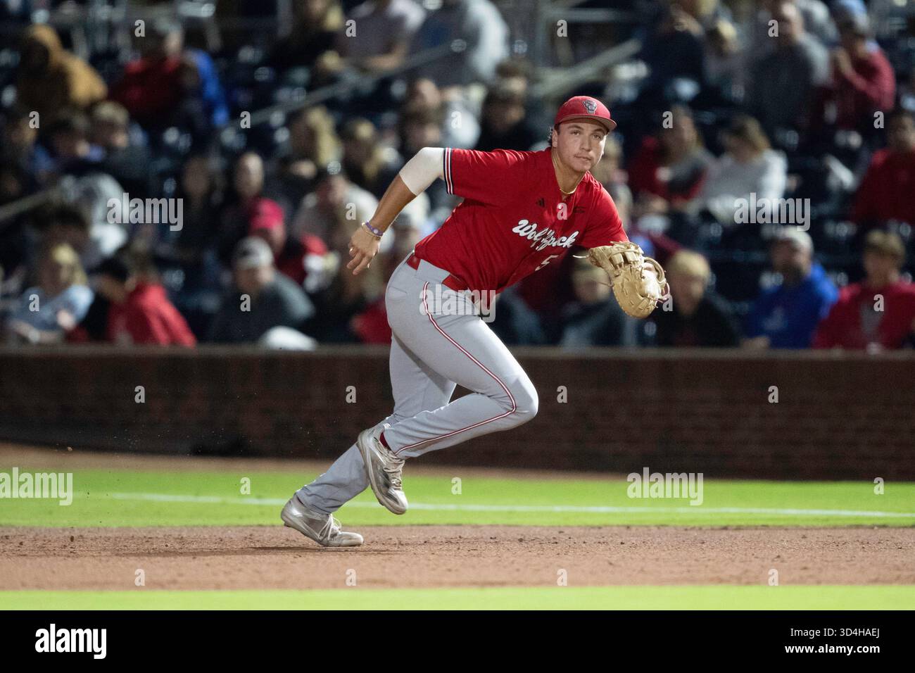 First baseman Brandon Novy (50) of the NC State Wolfpack in action ...