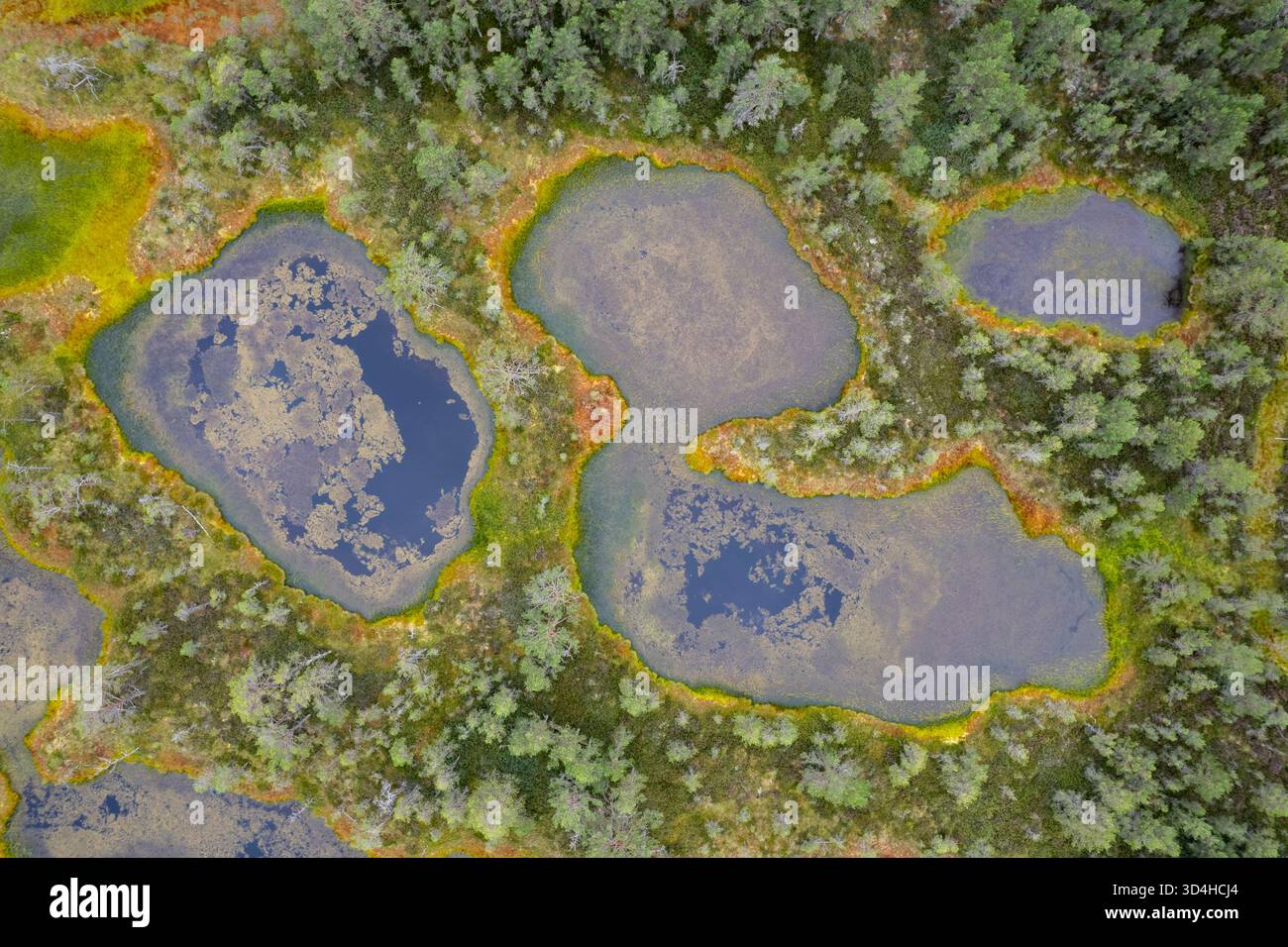 Drone view natural pools hi-res stock photography and images - Alamy