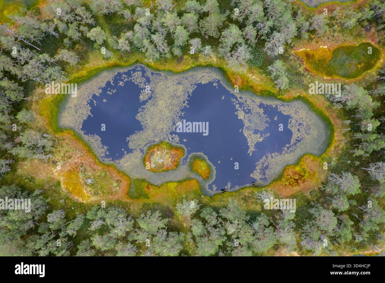 Drone view natural pools hi-res stock photography and images - Alamy