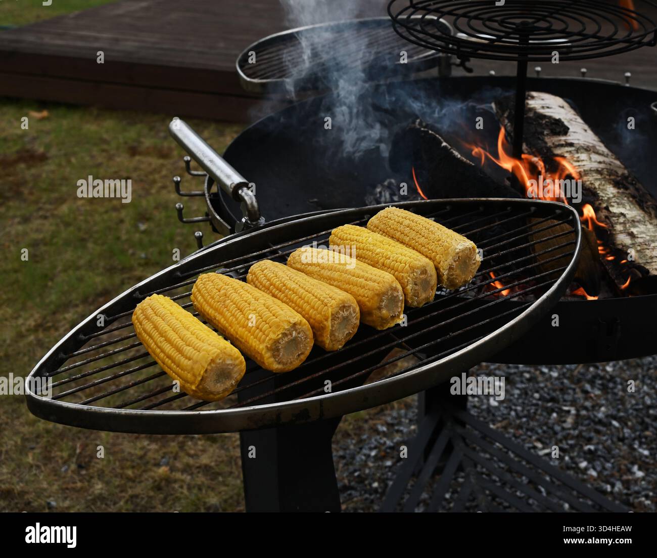 Fresh corn on the cob roasting on a metal grill over an open flame in a ...