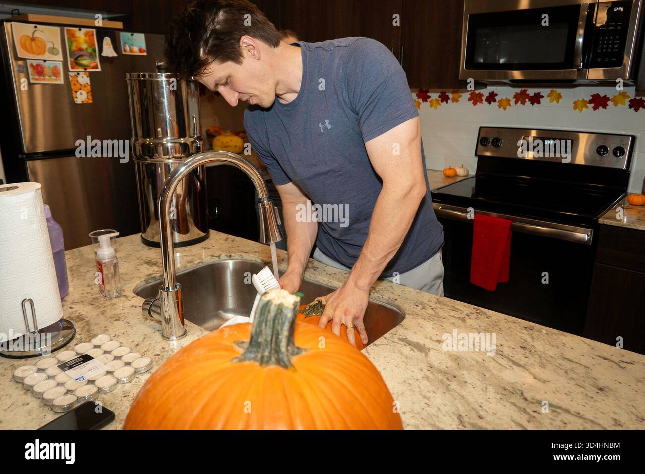 man washing pumpkin pulp in kitchen sink, home cook handling pumpkin ...