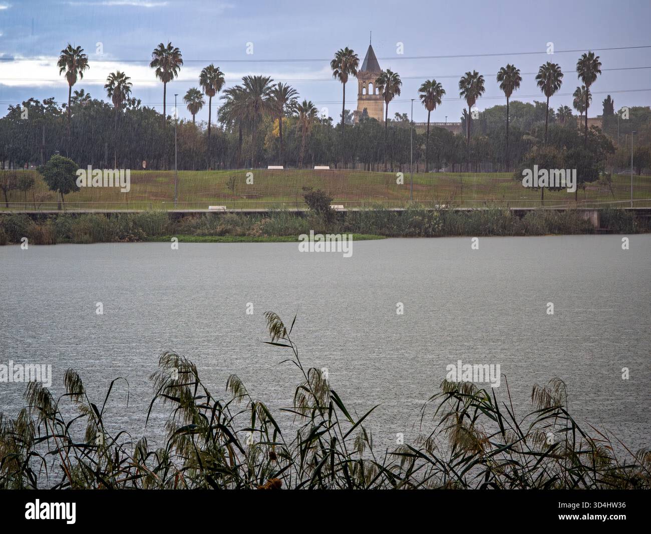 **Heavy rain over the Guadalquivir, with the bell tower of the ...