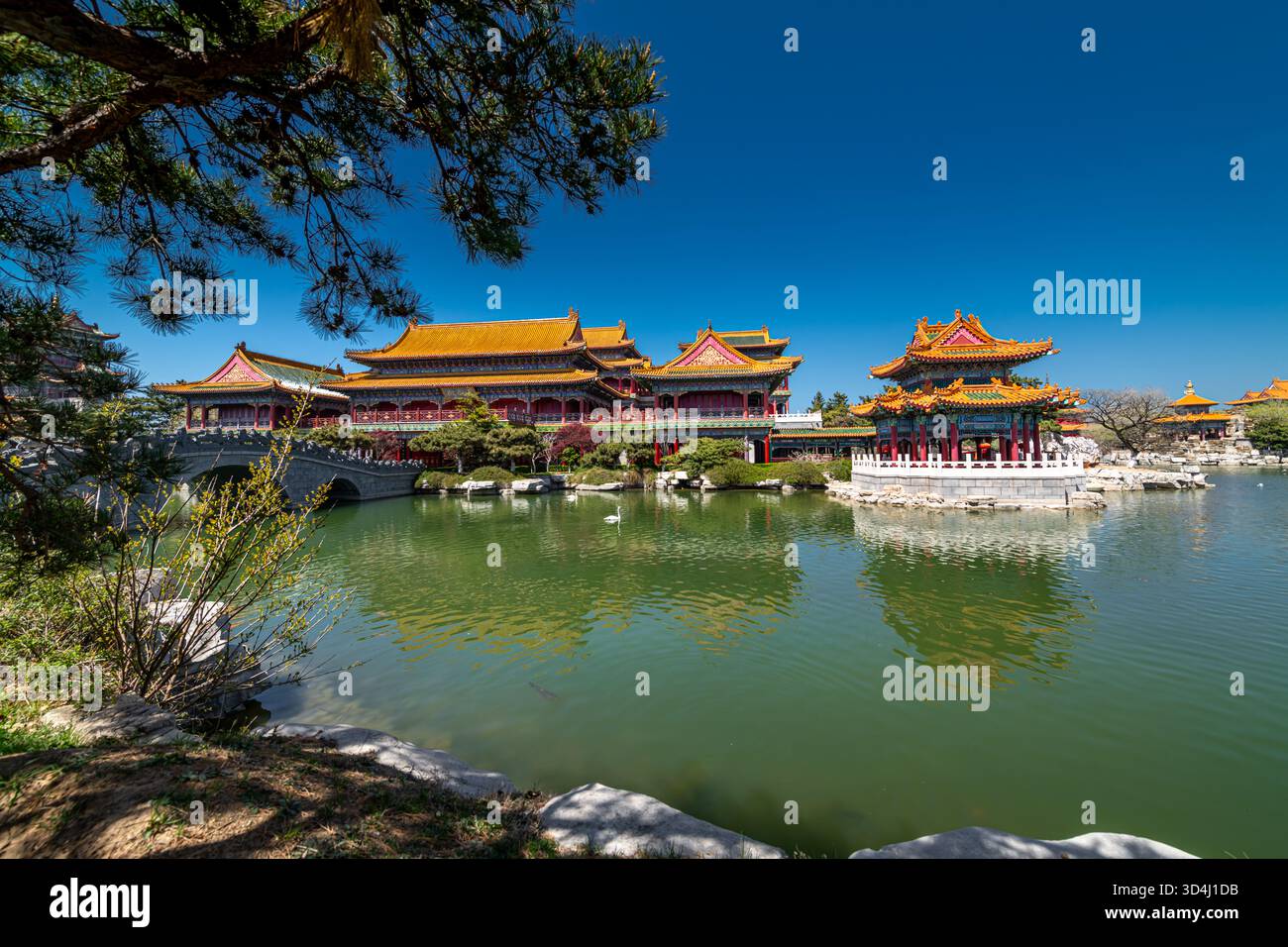 Swans in front of traditional red Chinese pavilion in San xian shan ...