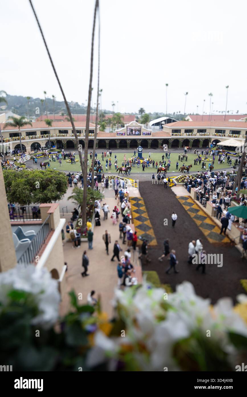 DEL MAR, CA - NOVEMBER 01: A view of the paddock during the 42nd ...