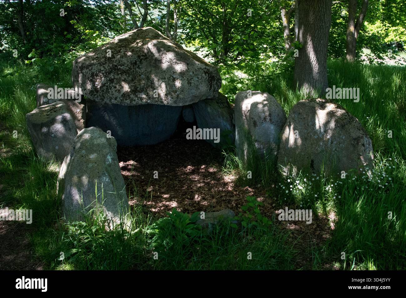 5500 year old megalithic great dolmen near Lancken-Granitz in the ...