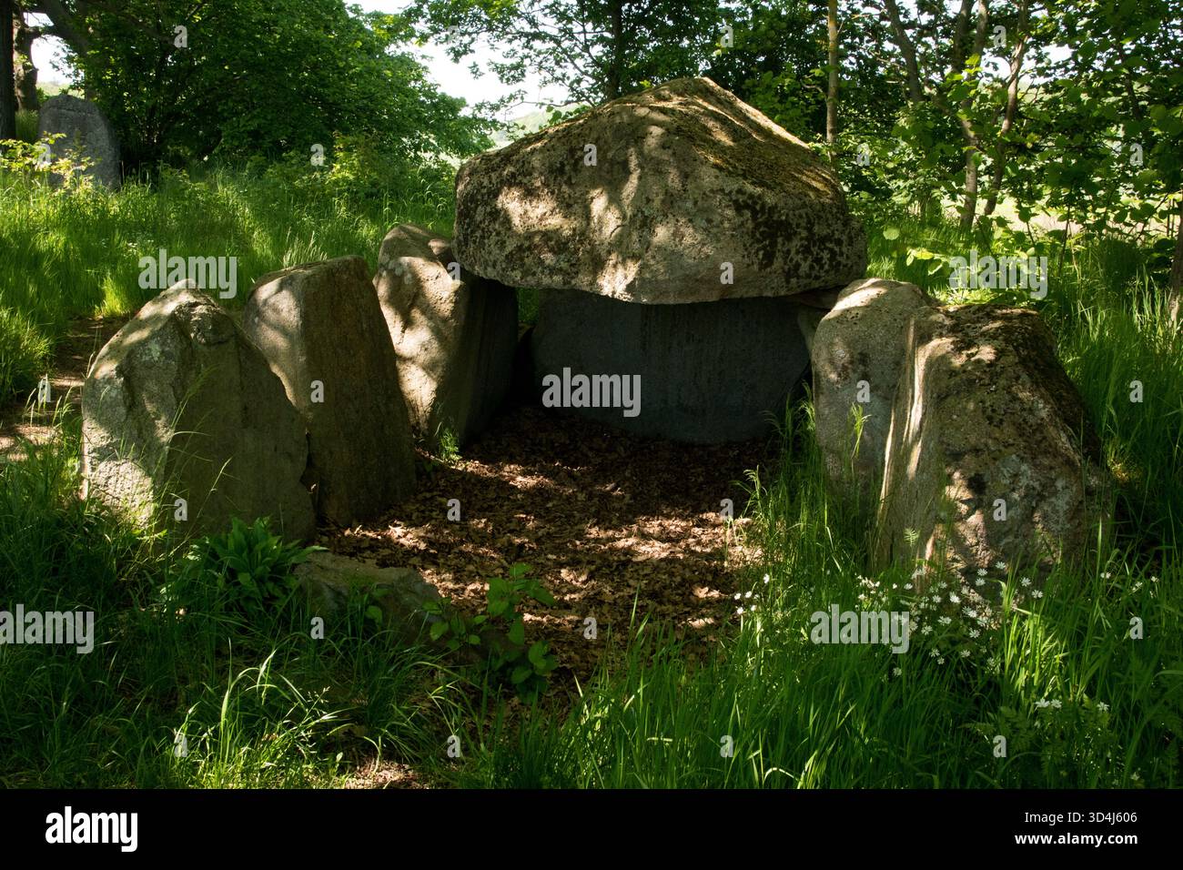 5500 year old megalithic great dolmen near Lancken-Granitz in the ...