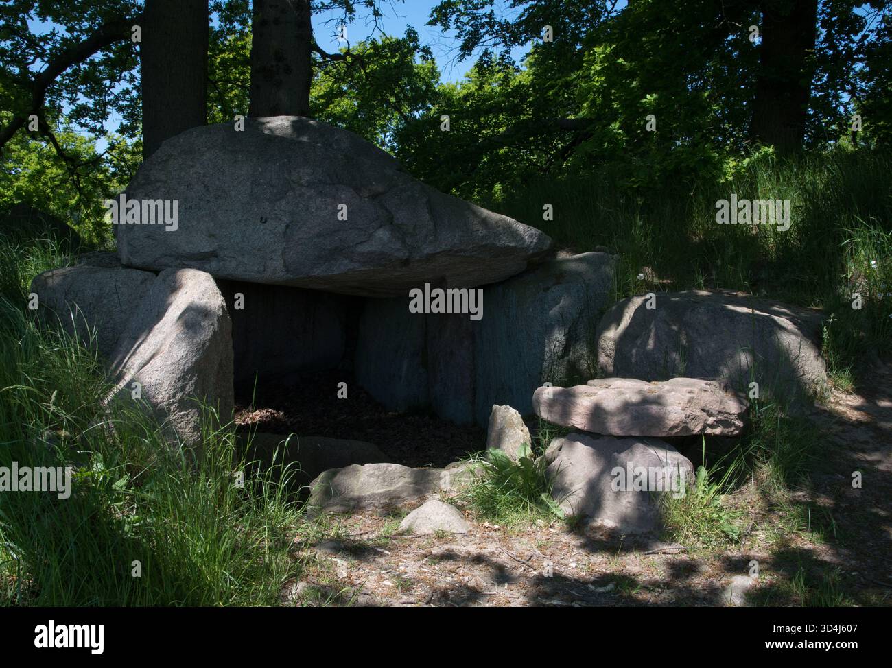 5500 year old megalithic great dolmen near Lancken-Granitz in the ...