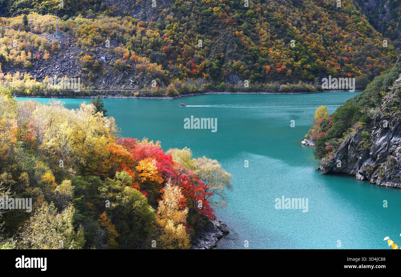 **CHINESE MAINLAND, HONG KONG, MACAU AND TAIWAN OUT** Colorful forest ...