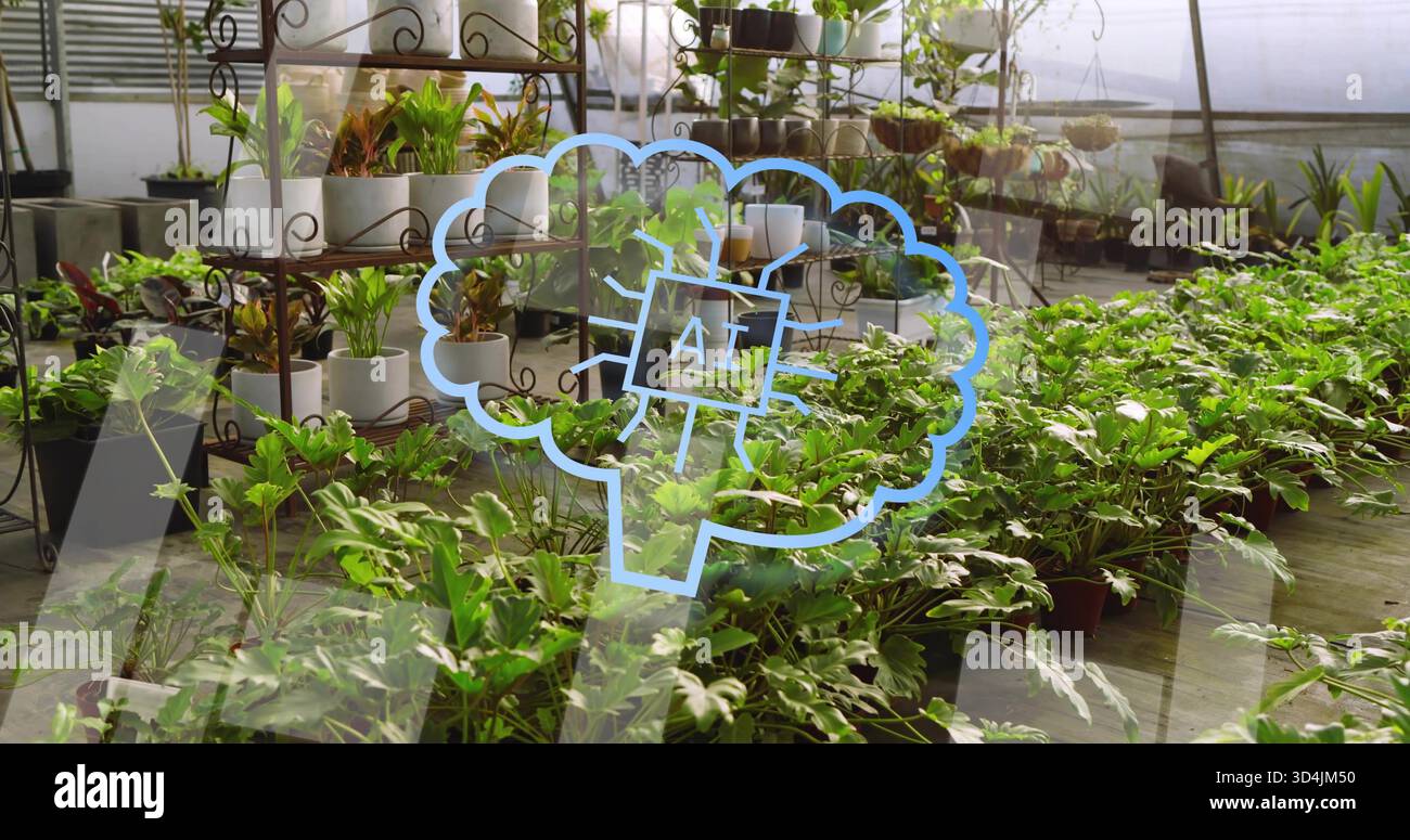 Displaying foreground bed of leafy potted plants in greenhouse, showing ...