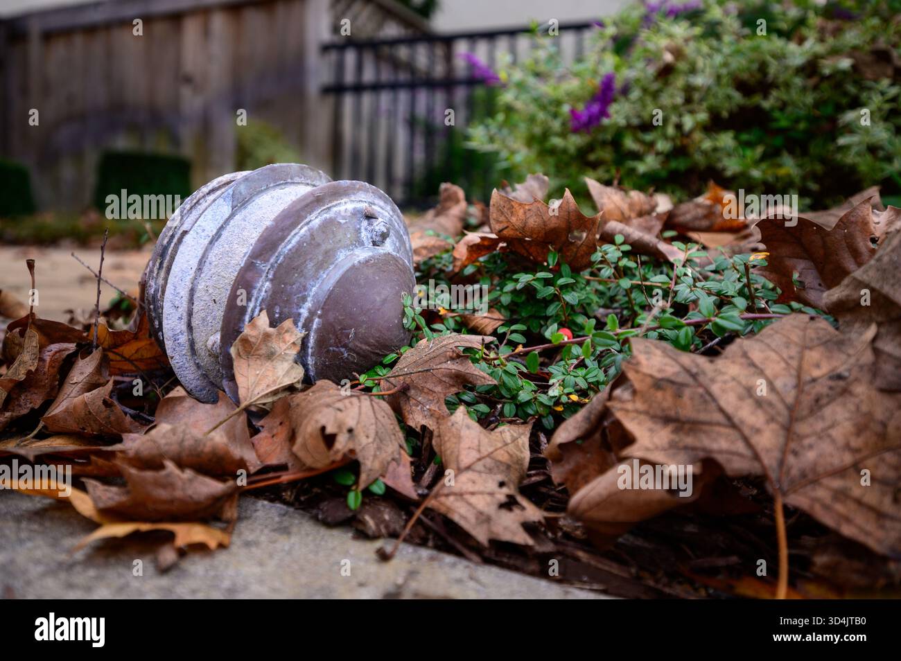 Closeup view of landscape lighting with natural soil and moss with ...