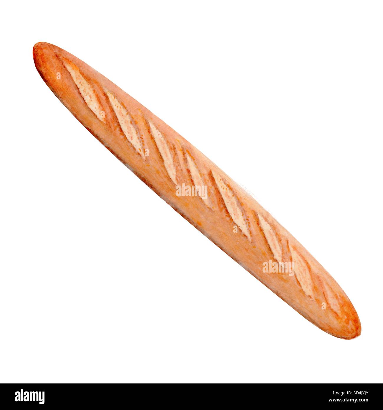 French baguette watercolor illustration isolated on white. Perfect for ...