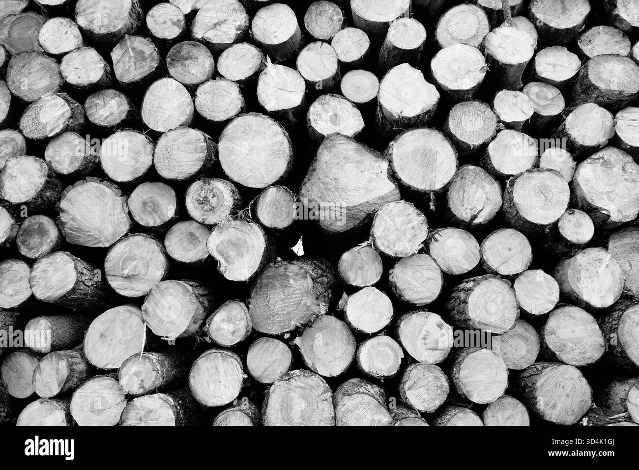 Eco design resource Black and White Stock Photos & Images - Alamy