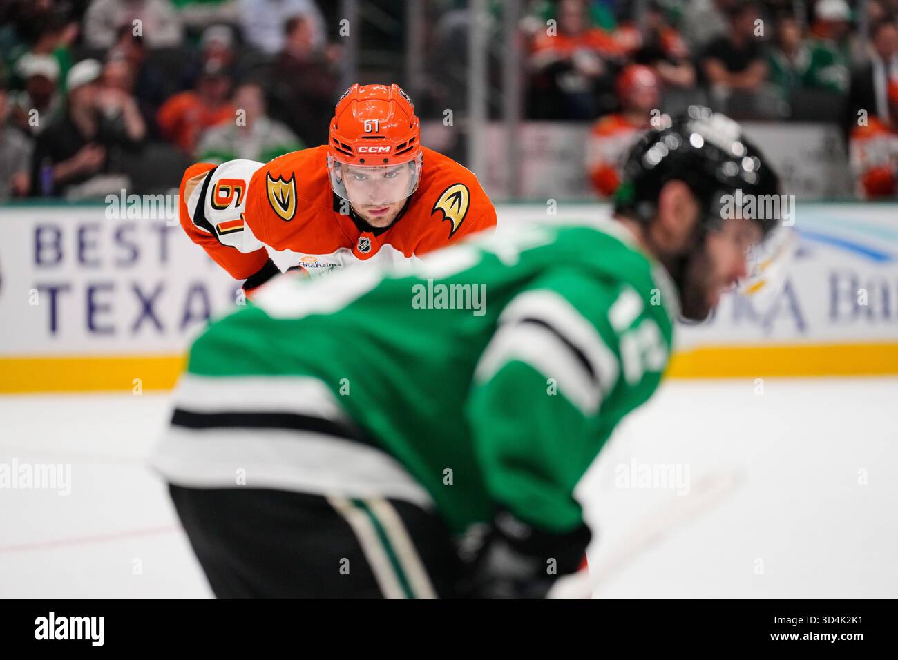 Anaheim Ducks left wing Cutter Gauthier prepares for a face-off during ...