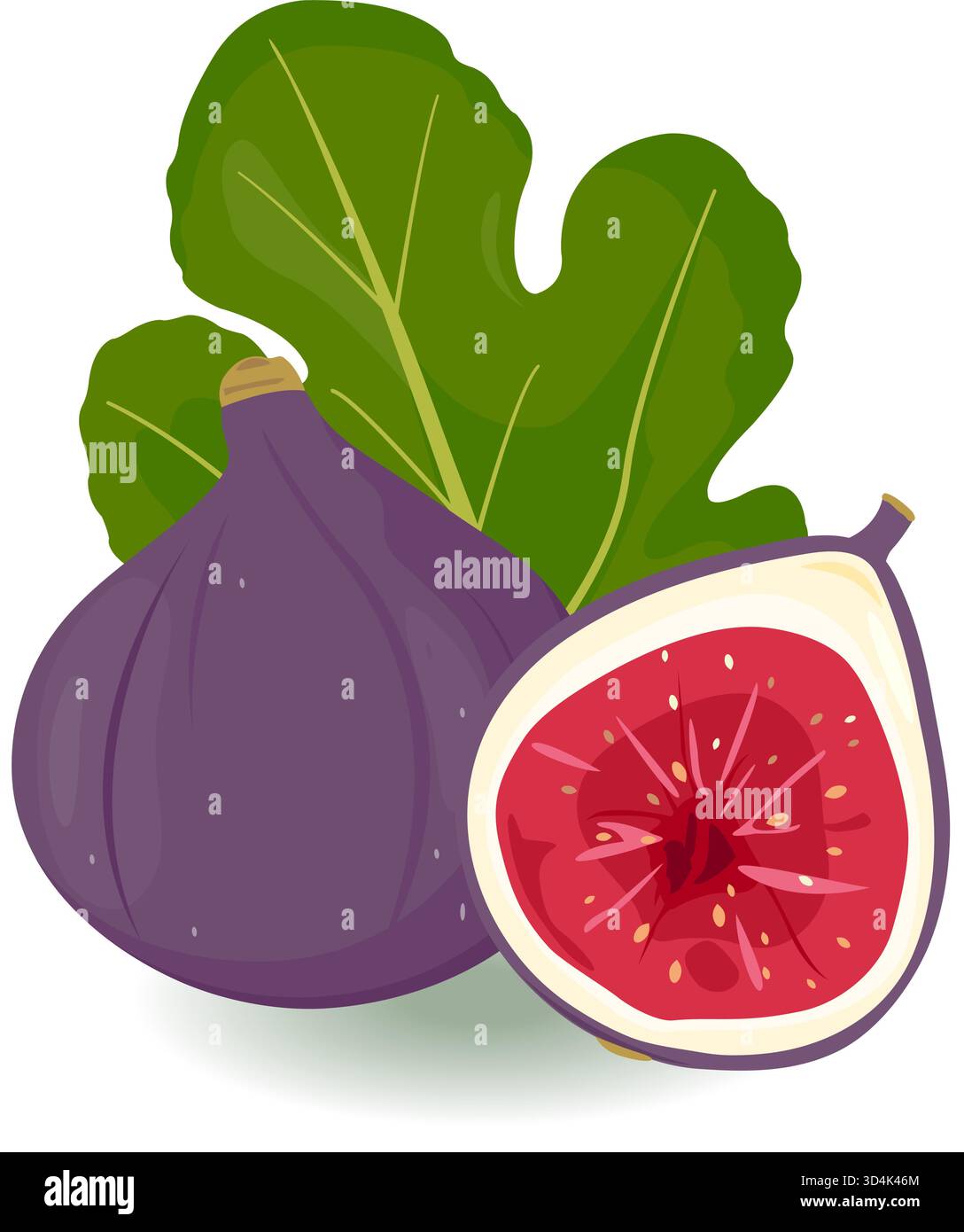 Autumn harvest juicy edible Stock Vector Images - Alamy