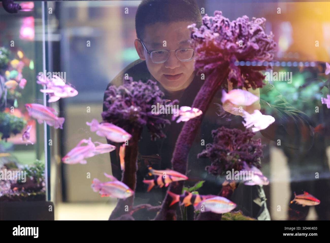 Food processing services hi-res stock photography and images - Alamy