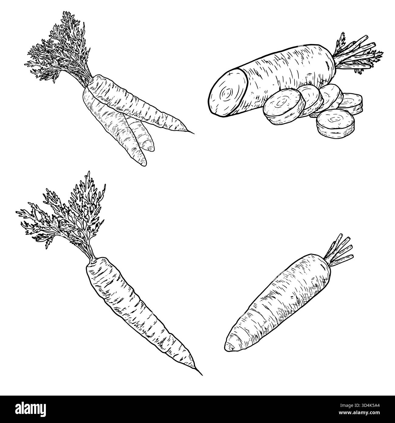 Food set on circles Stock Vector Images - Alamy