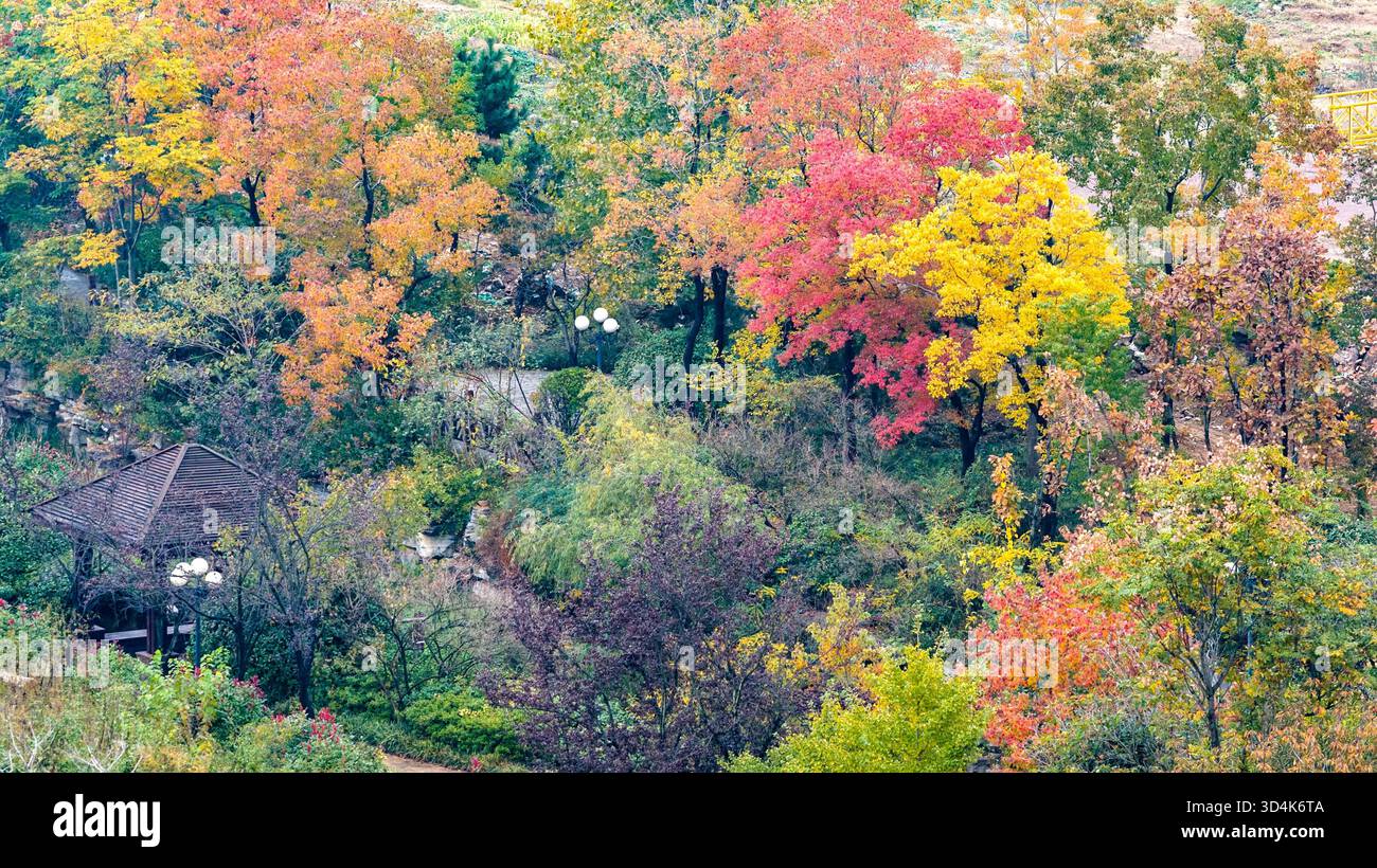 Aerial photo shows the early winter scenery in Qingdao City, east China ...