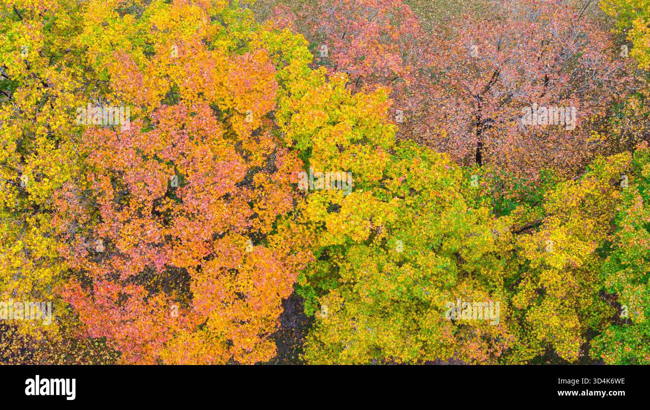 Aerial photo shows the early winter scenery in Qingdao City, east China ...