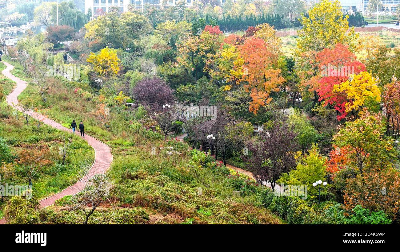 Aerial photo shows the early winter scenery in Qingdao City, east China ...