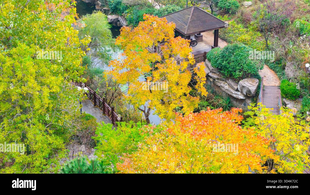 Aerial photo shows the early winter scenery in Qingdao City, east China ...