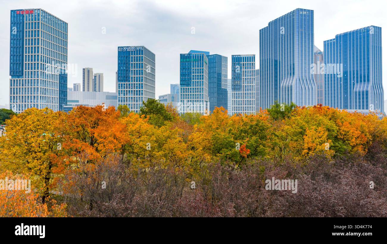 Aerial photo shows the early winter scenery in Qingdao City, east China ...