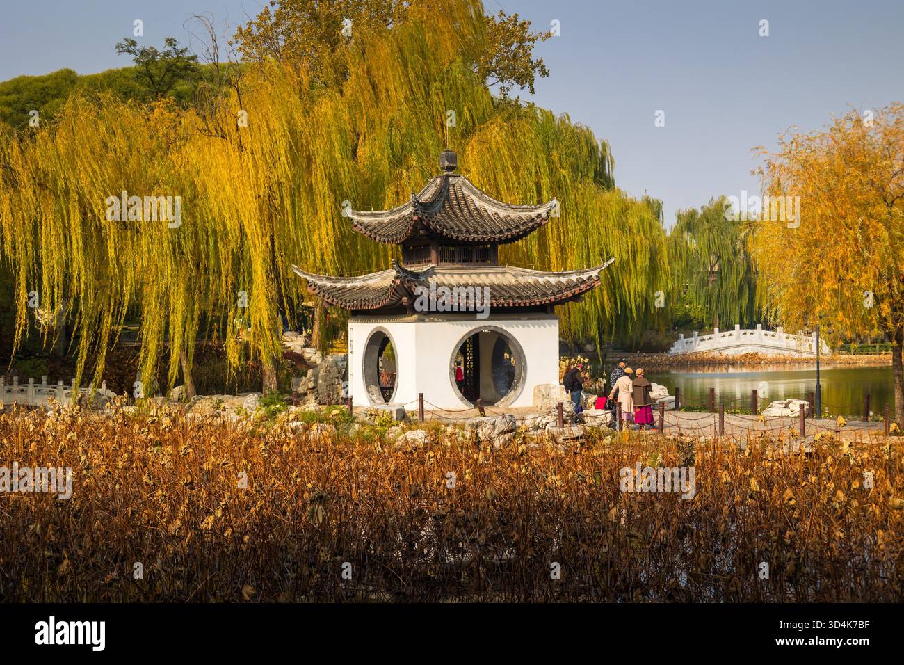 Late autumn scenery at Taoranting Park in Beijing, China, 9 November ...