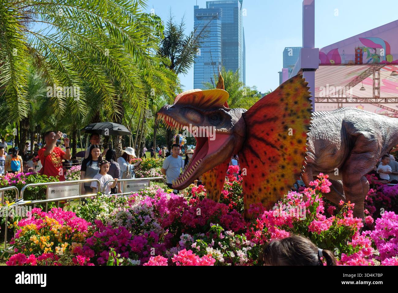 People admire azalea flowers in Shenzhen City, south China's Guangdong ...