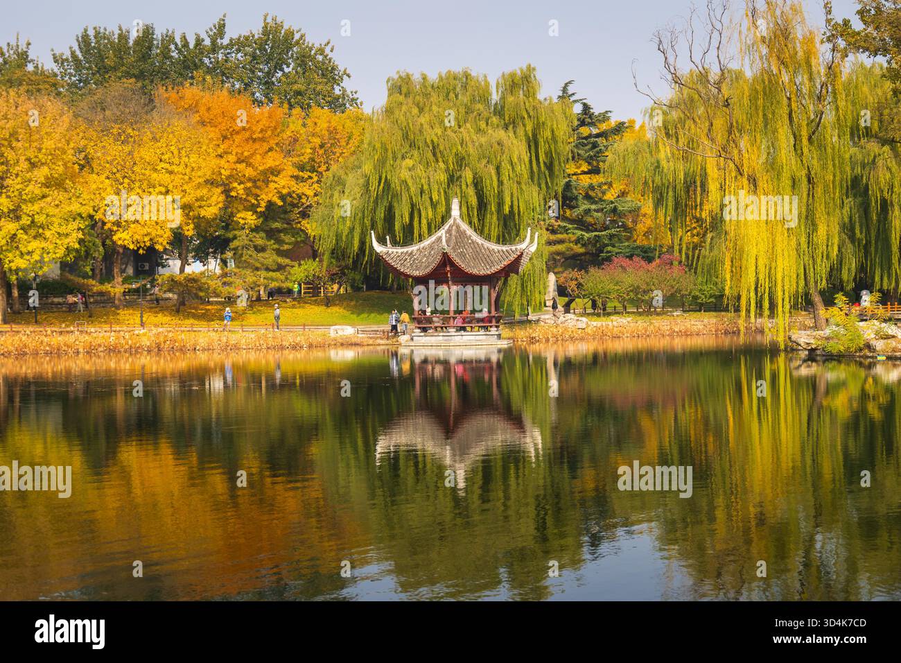 Late autumn scenery at Taoranting Park in Beijing, China, 9 November ...