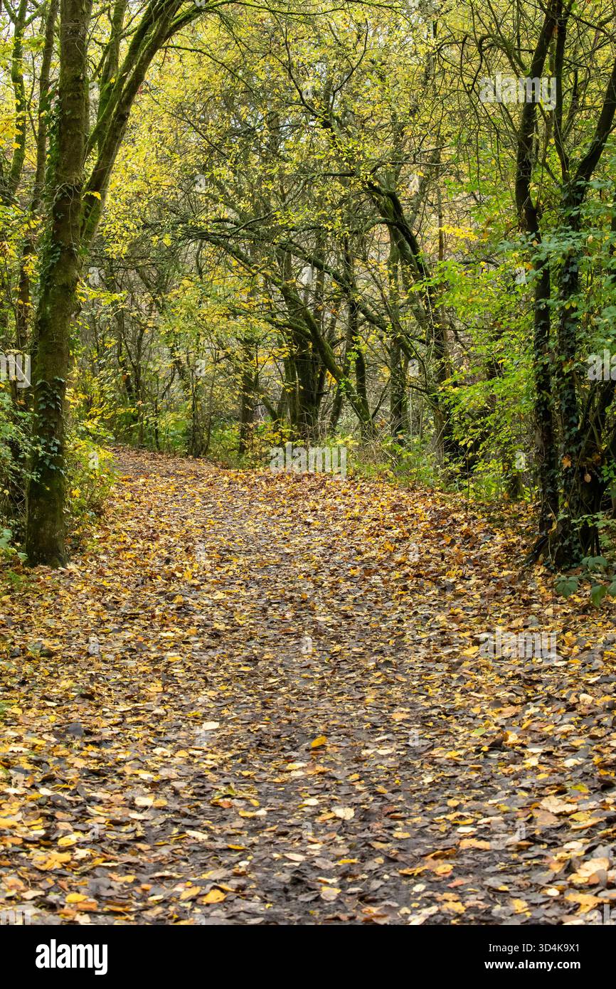Arrow Valley Lake Stock Photo - Alamy