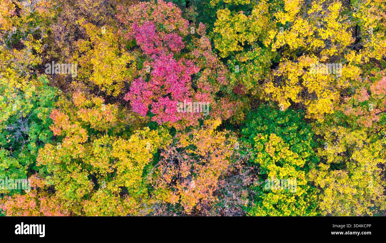 Aerial photo shows the early winter scenery in Qingdao City, east China ...