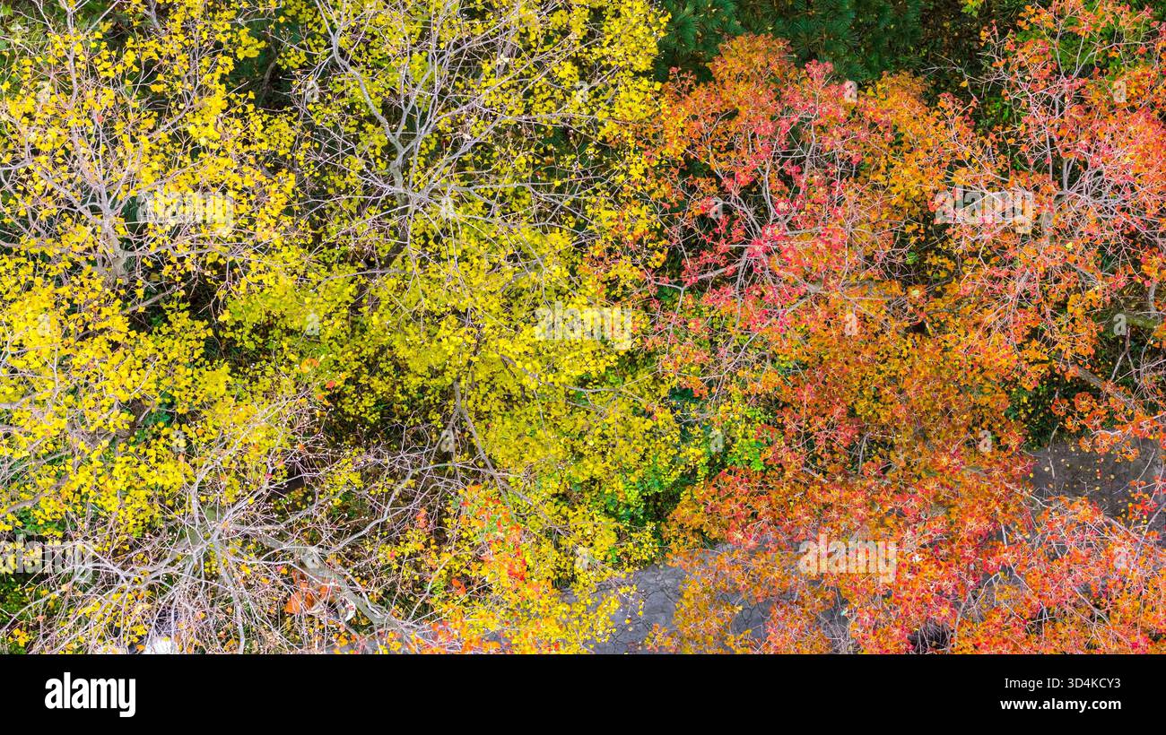 Aerial photo shows the early winter scenery in Qingdao City, east China ...