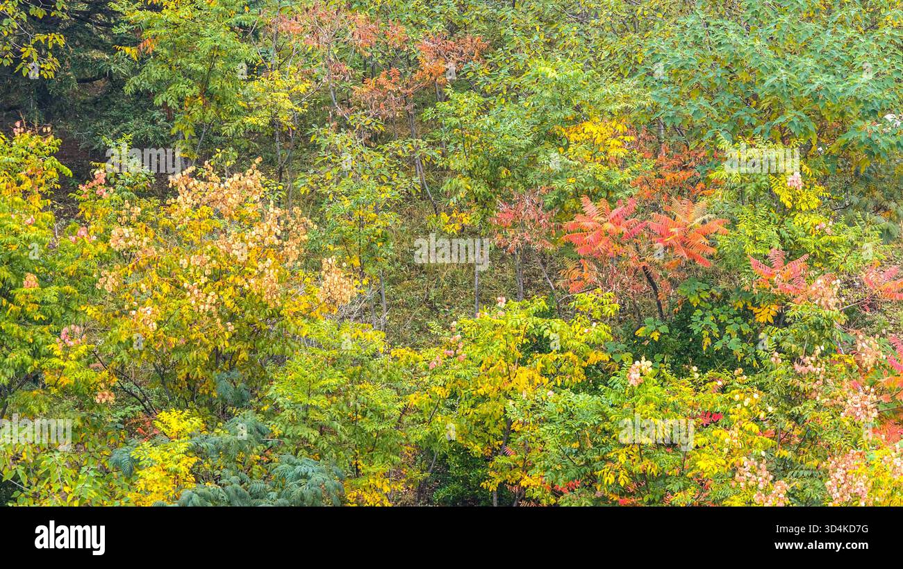 Aerial photo shows the early winter scenery in Qingdao City, east China ...
