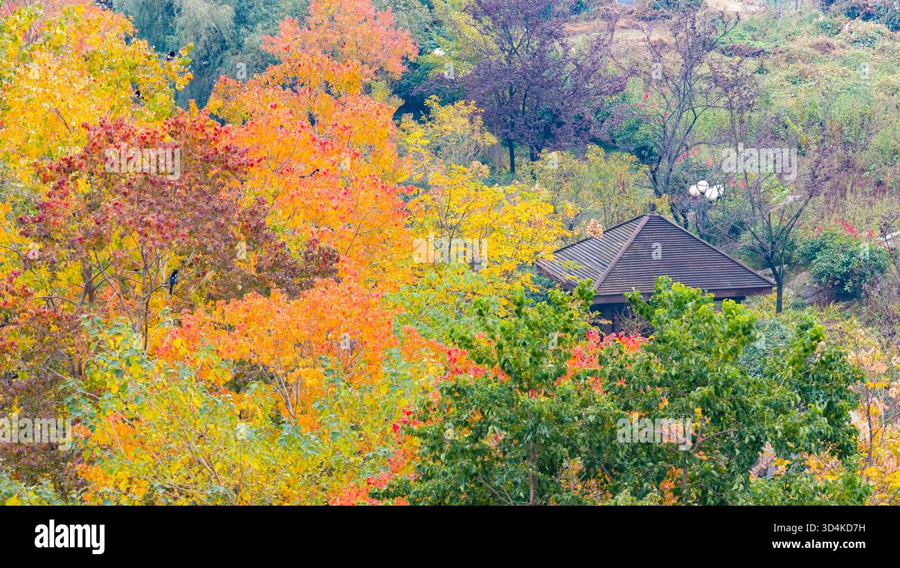 Aerial photo shows the early winter scenery in Qingdao City, east China ...