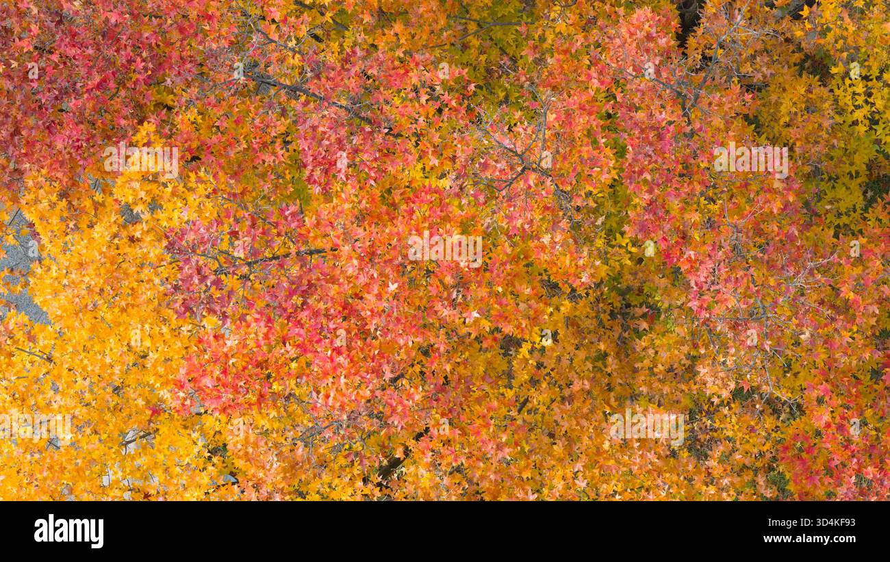 Aerial photo shows the early winter scenery in Qingdao City, east China ...