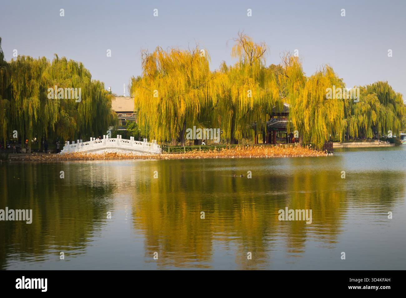 Late autumn scenery at Taoranting Park in Beijing, China, 9 November ...