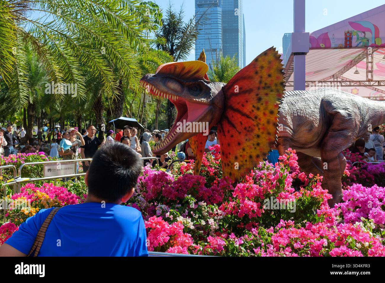 People admire azalea flowers in Shenzhen City, south China's Guangdong ...