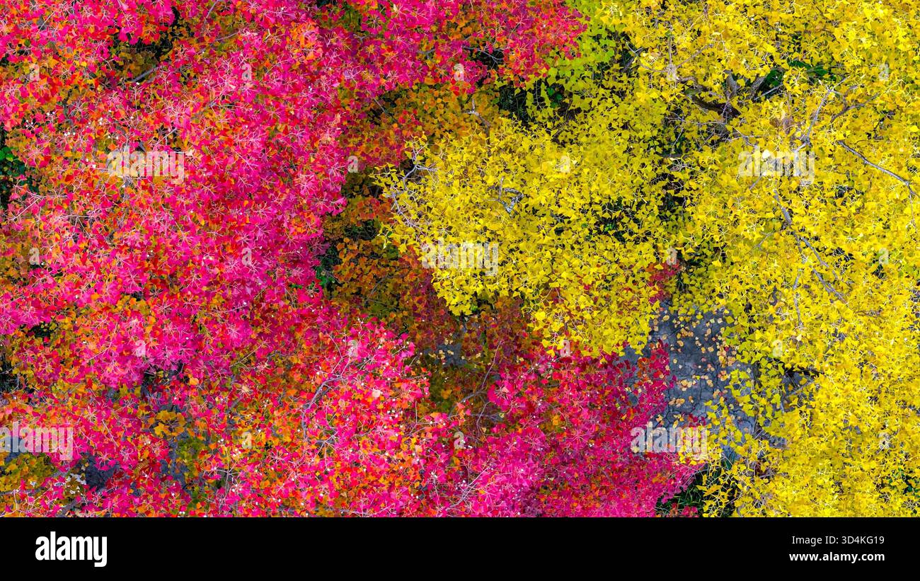 Aerial photo shows the early winter scenery in Qingdao City, east China ...