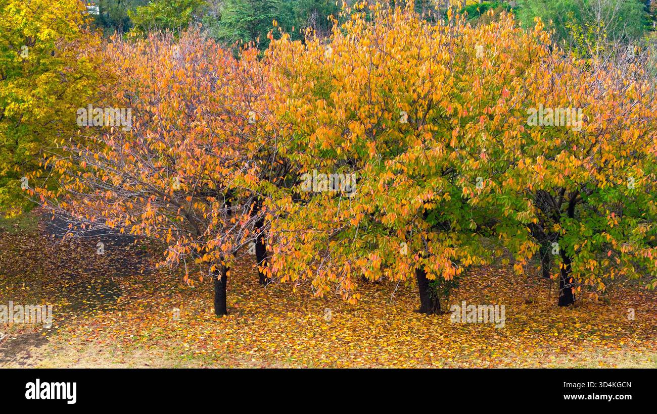 Aerial photo shows the early winter scenery in Qingdao City, east China ...