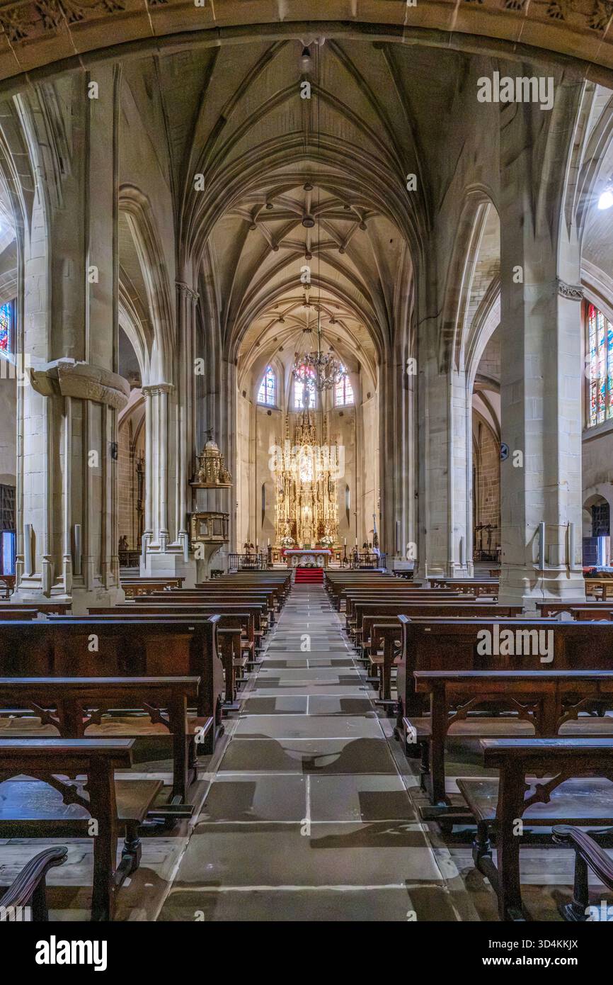 Interior View of Santa Maria de la Asuncion Church, Gothic Vaults ...