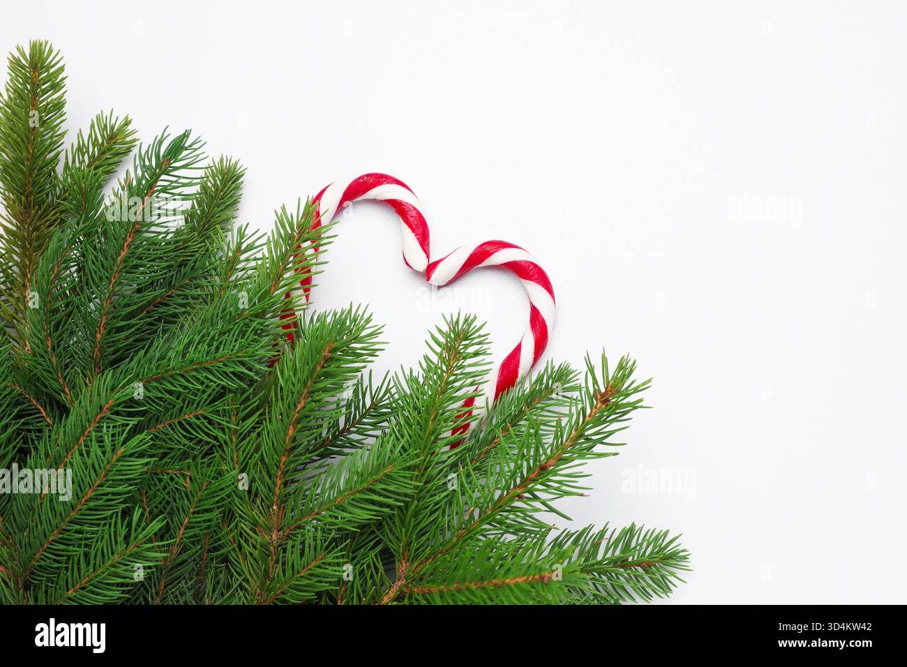 Christmas tree branches and candy canes on light background, flat lay ...