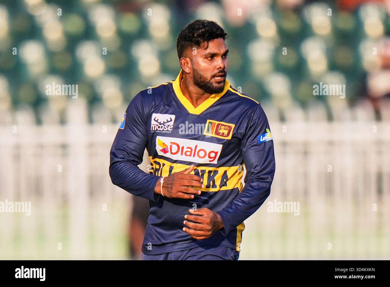 Sri Lanka's Wanindu Hasaranga celebrates after taking the wicket of ...