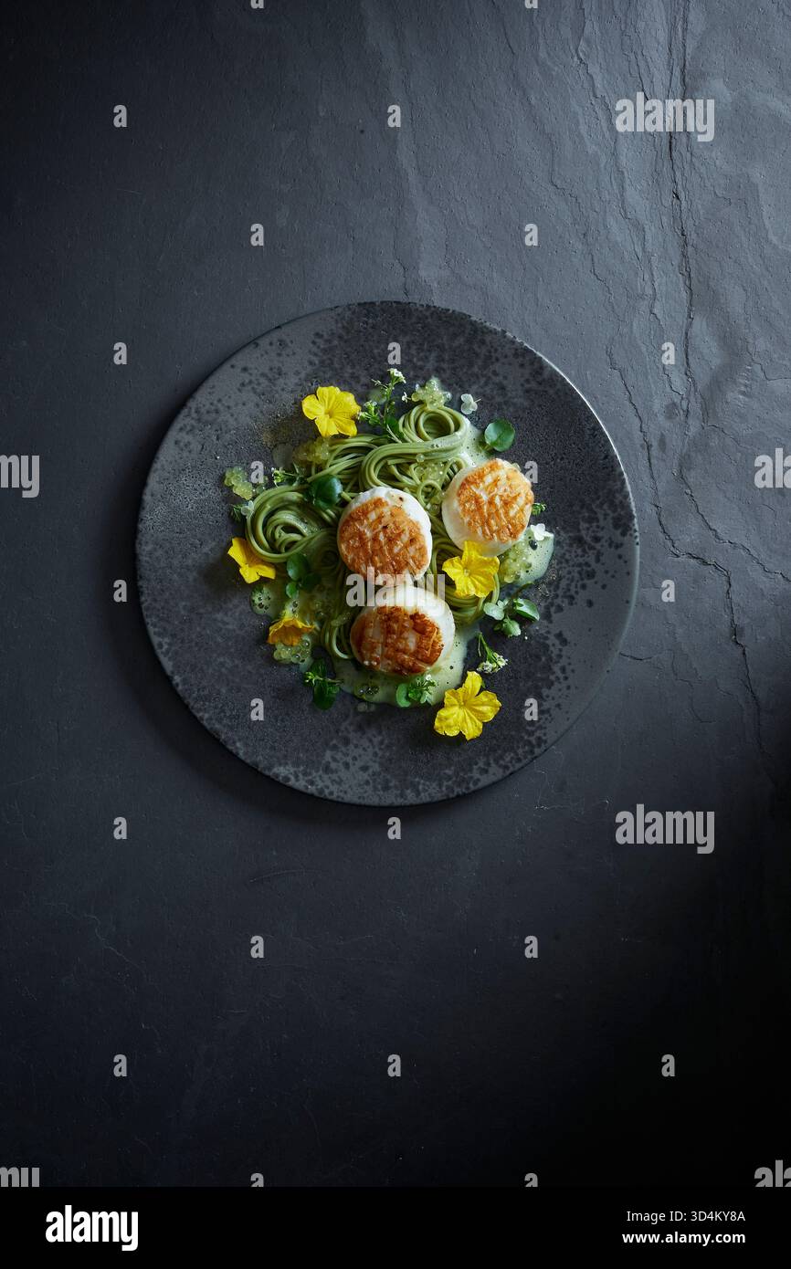 Gourmet food photography of seared scallops with herbs and edible ...