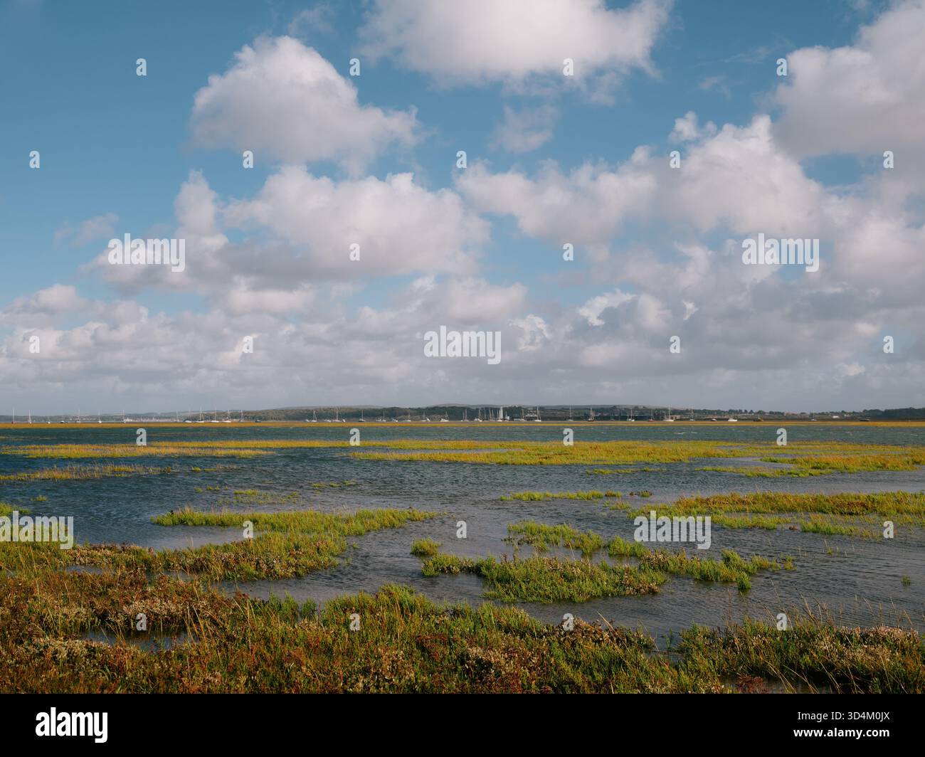 The tidal wetlands and marsh of Milford-on-Sea, New Forest Hampshire ...