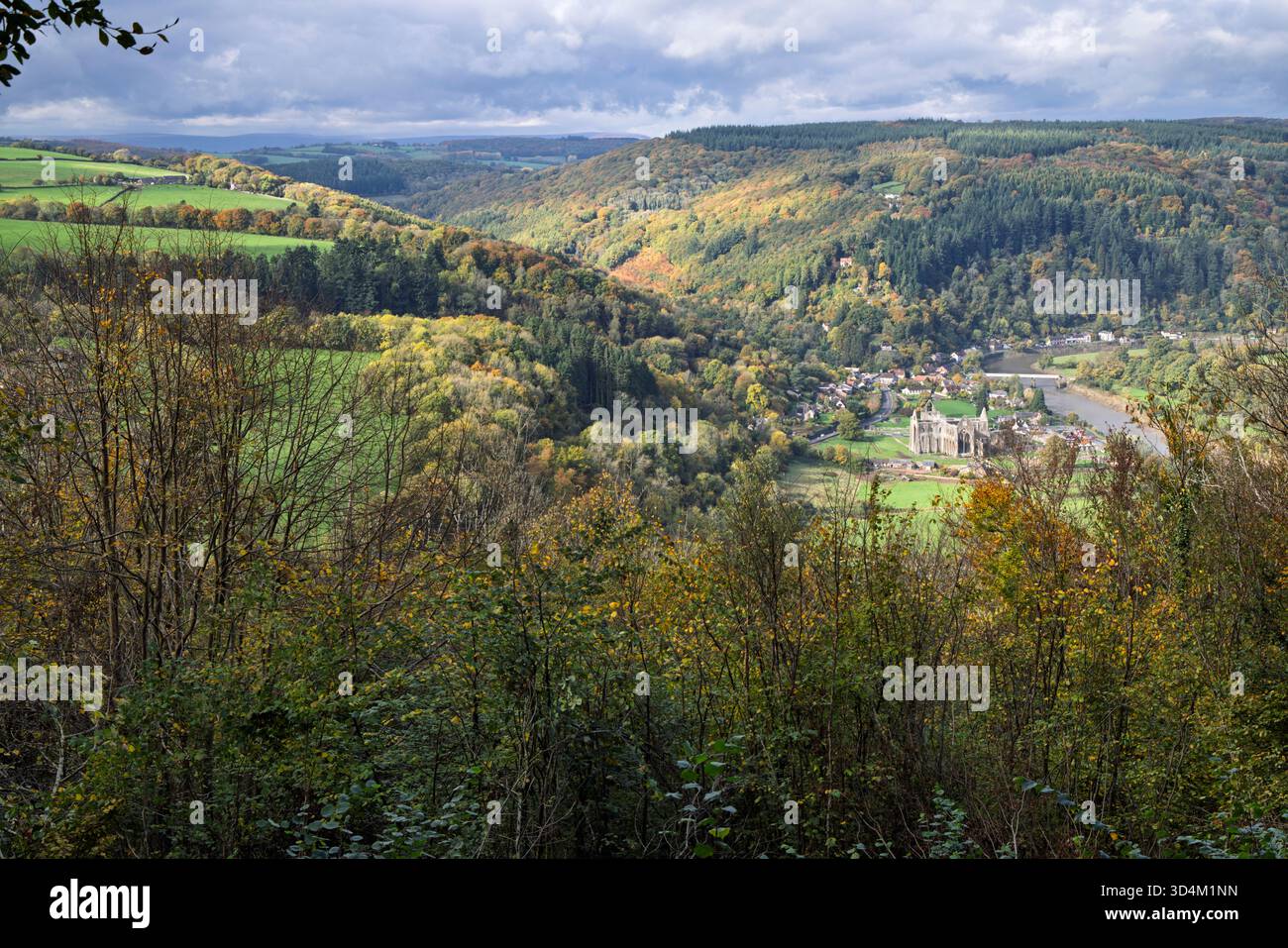 River walk by tintern abbey hi-res stock photography and images - Alamy