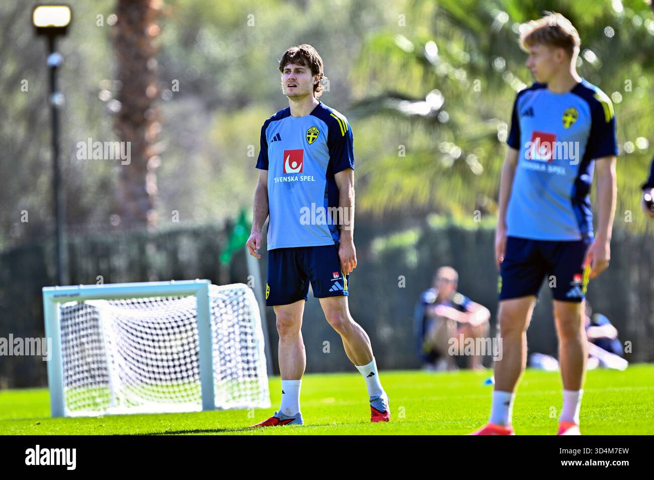 MARBELLA, SPAIN 20251111Mattias Svanberg and Emil Forsberg The Swedish ...