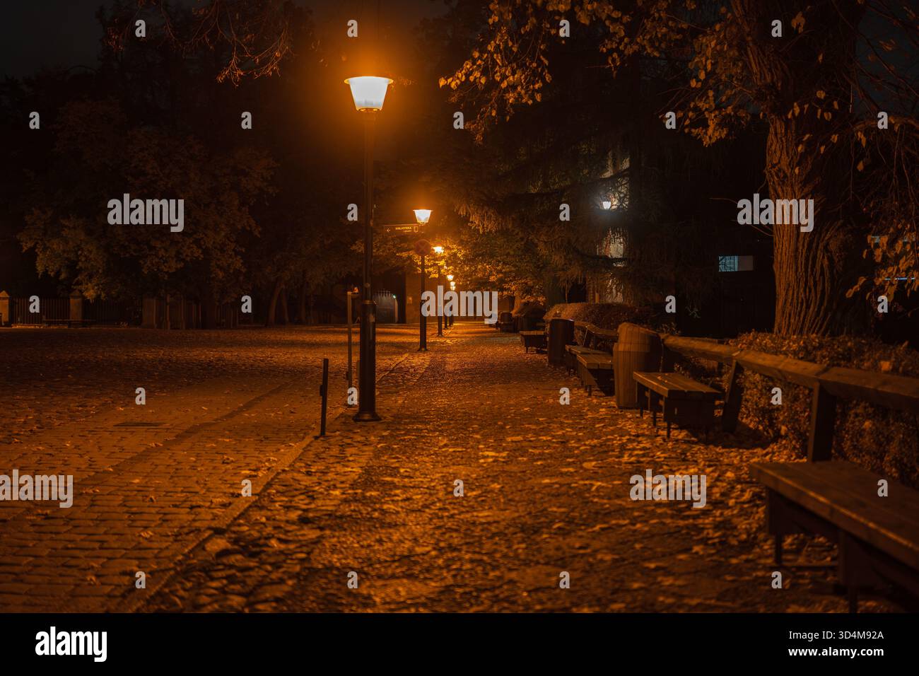 Amber lamps light a cobblestone path with benches and a stone wall near ...