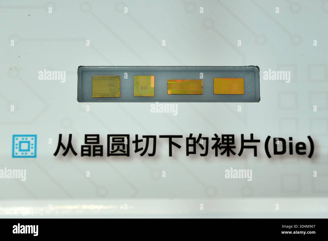SHANGHAI, CHINA - NOVEMBER 6, 2025 - AMD chips exhibited at the 8th ...