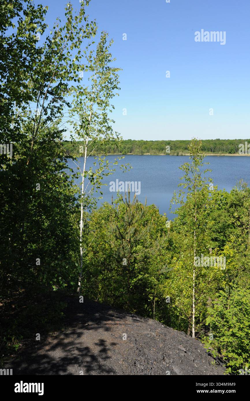 The 'mare a Goriaux', a flooded former mining site typical of Northern ...