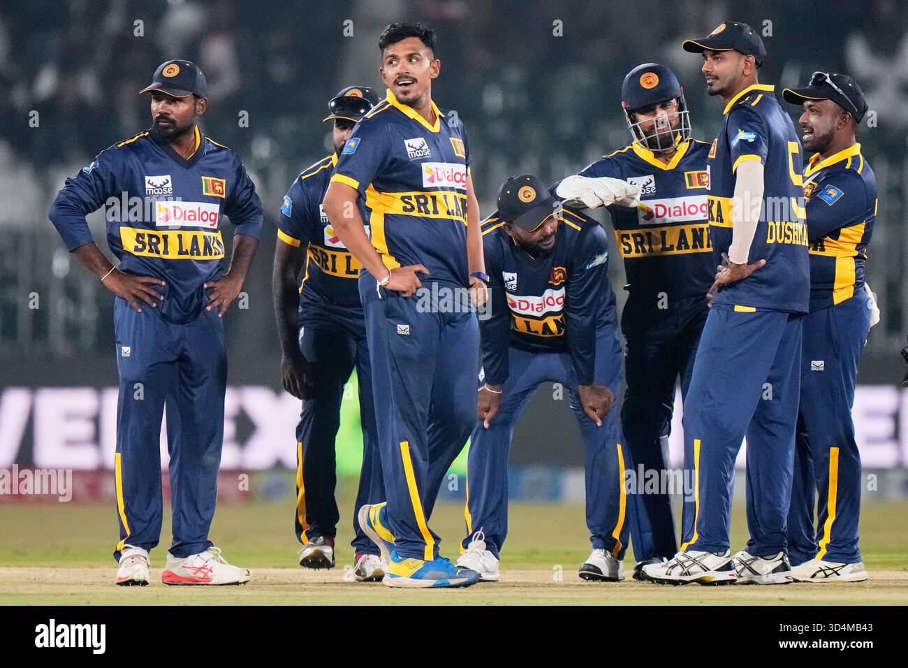 Sri Lanka's Mahesh Theekshana, third left, celebrates with teammates ...