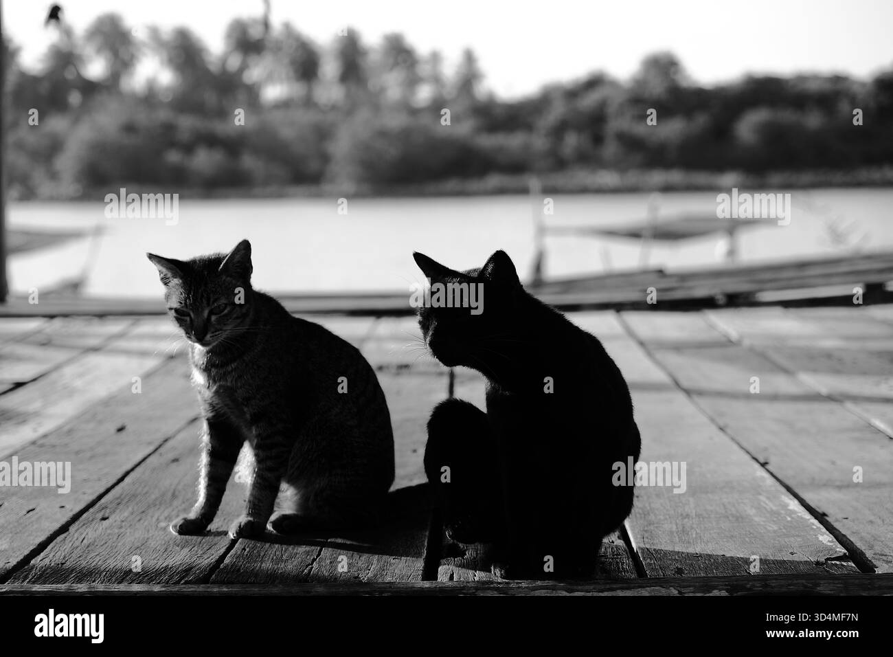 Artistic style captures Black and White Stock Photos & Images - Alamy